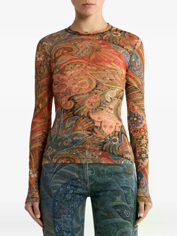 Etro Paisley Tulle Long-sleeve Top - Multicolour