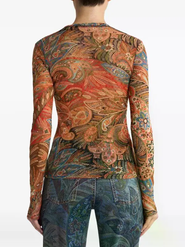 Etro Paisley Tulle Long-sleeve Top - Multicolour