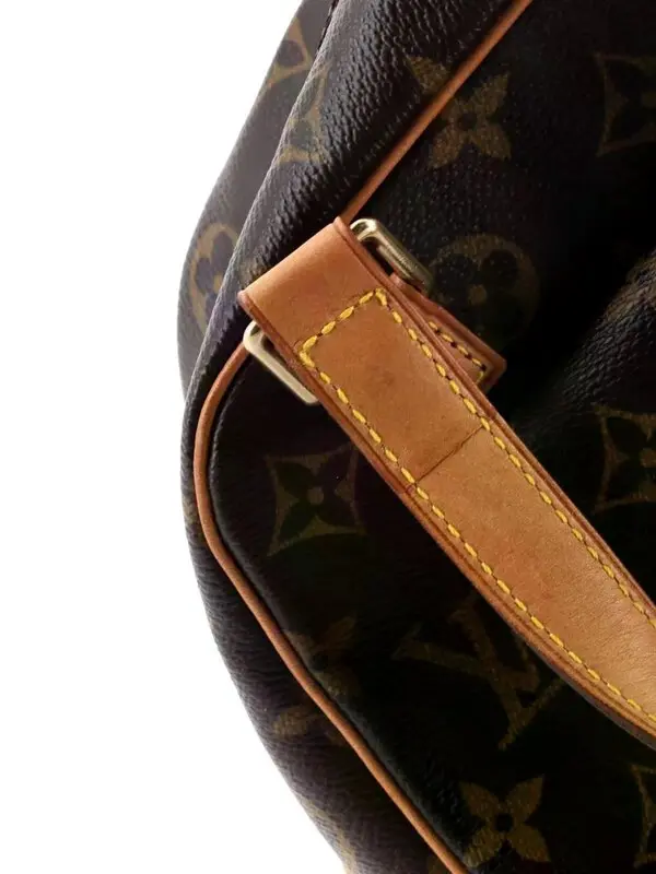 LOUIS VUITTON Excentri-cite Handbag Monogram Canvas Satchel