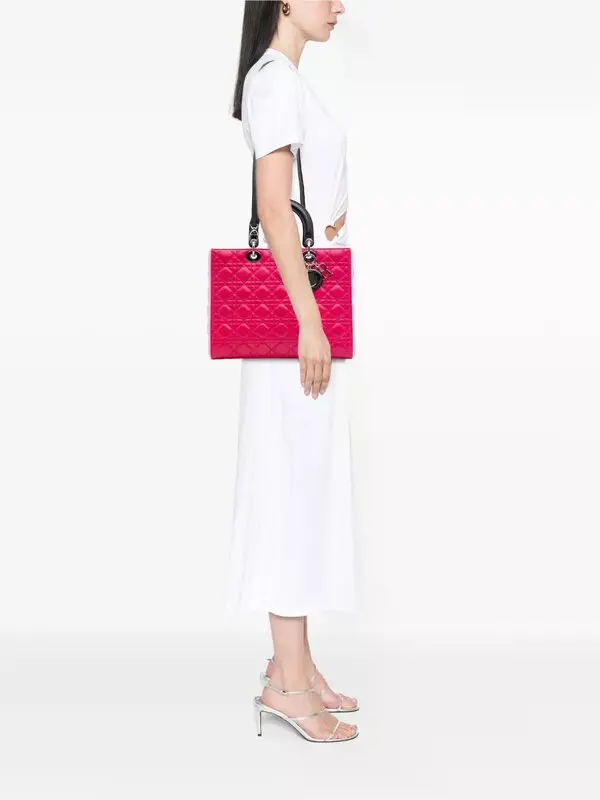 Dior 2014 Large Lady Satchel - Pink