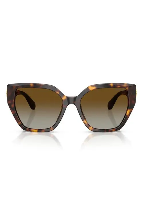 SWAROVSKI 56mm Polarized Irregular Sunglasses - Havana/brown Gradient Polar