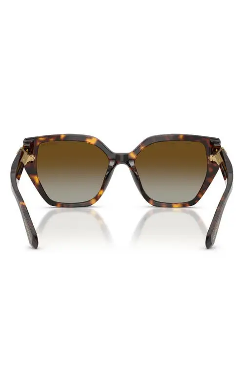 SWAROVSKI 56mm Polarized Irregular Sunglasses - Havana/brown Gradient Polar