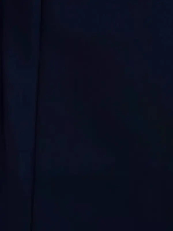 Chiara Boni La Petite Robe Lua Buttoned Blazer - Blue