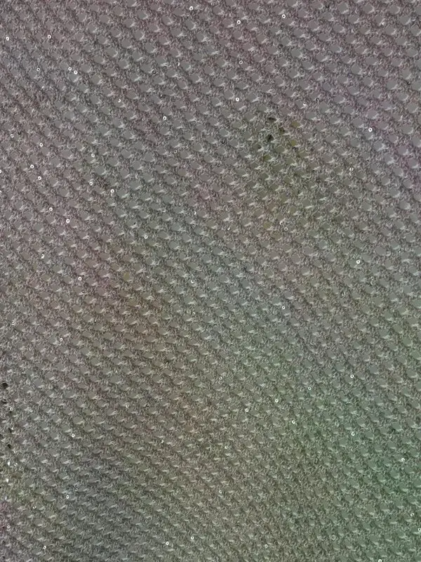 Peserico Crew-neck Embellished Sweater