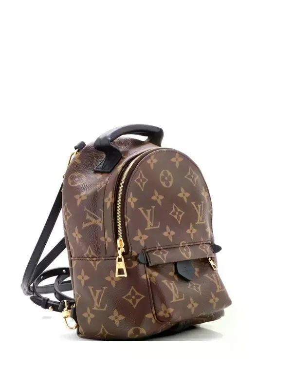 LOUIS VUITTON Palm Springs Monogram Canvas Mini Backpack - Brown