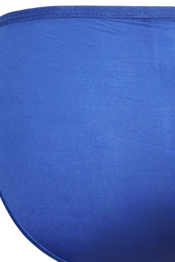HOM Plume Collection Briefs - Blue