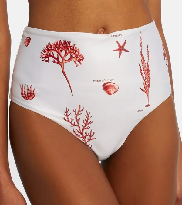 Agua Bendita Magdalena Printed Bikini Bottoms - White