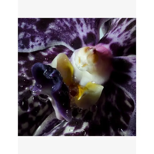 Dries Van Noten Soie & Amber Liquid Soap Refill
