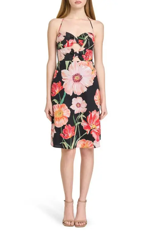 WAYF In Bloom Cutout Halter Neck Stretch Cotton Dress - Black Poppies