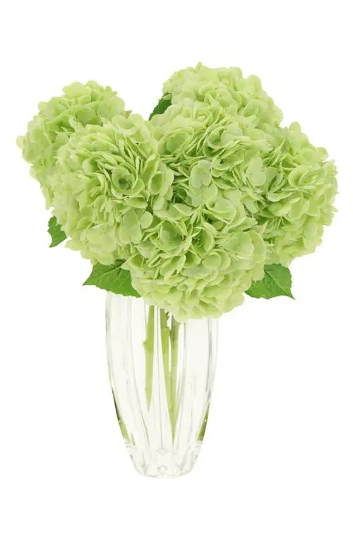 MARK ROBERTS Vibrant Hydrangea Natural Touch - Light Green