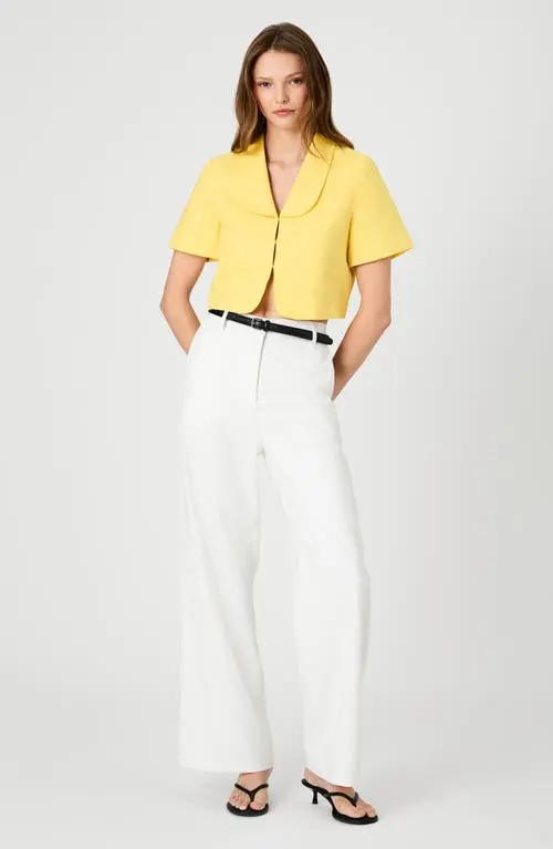 French Connection Theo Oversized Peter Pan Collar Crop Top - Bright Daisy