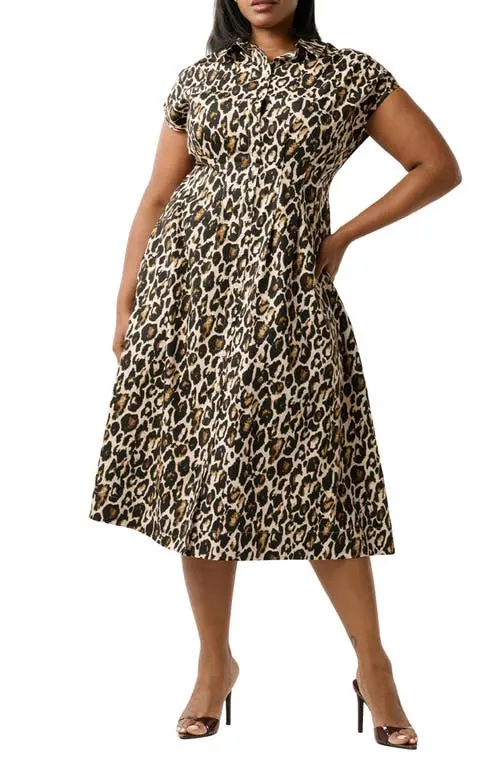 ESTELLE Leocara Leopard Print Shirtdress - Ivory Leopard