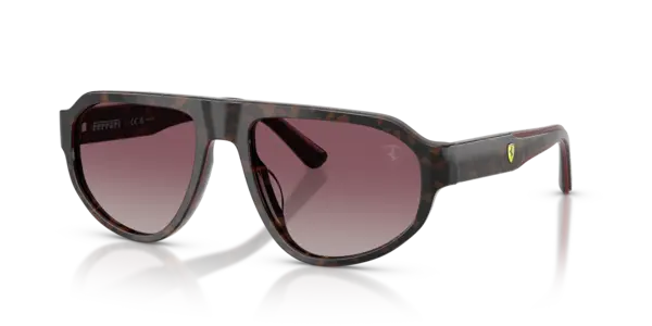 SCUDERIA FERRARI Sunglasses - Havana Burdeos