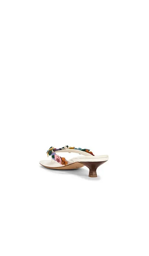 COACH Tea Rose Thong Kitten Heel