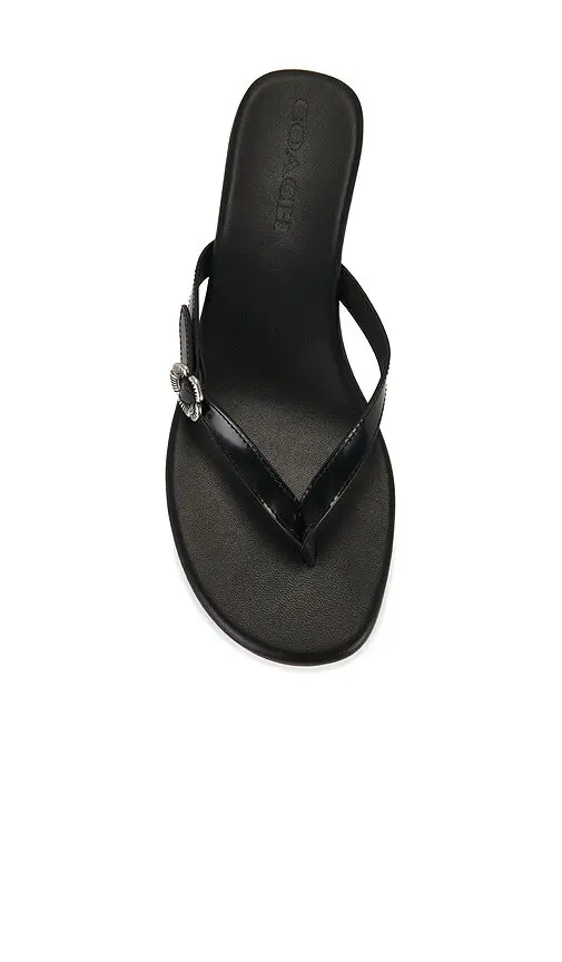 COACH Tea Rose Thong Kitten Heel Sandals