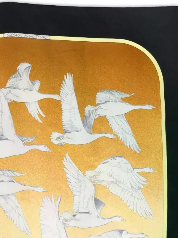 Hermès 1970s Oiseaux Migrateurs Silk Scarf - Black