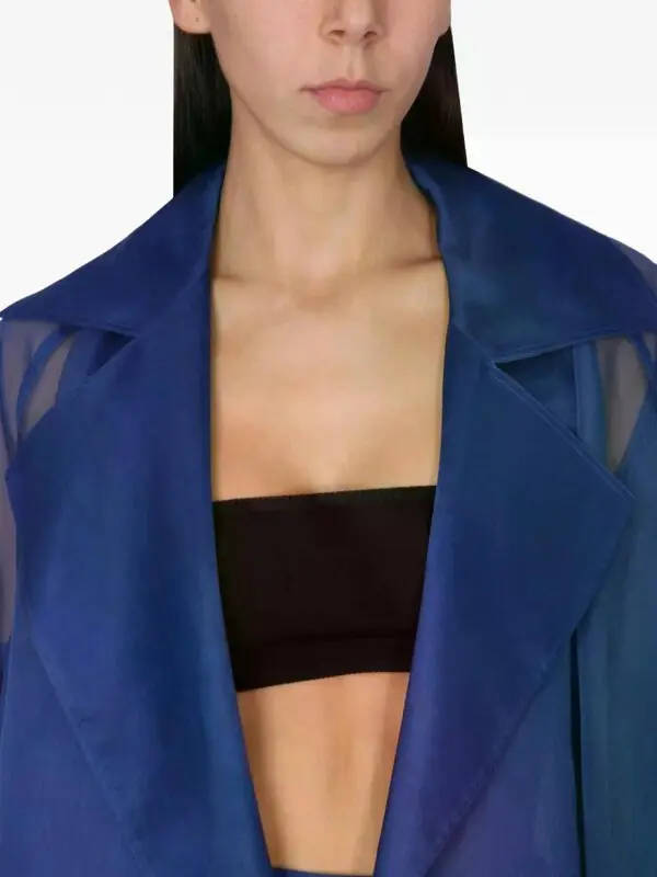 Max Mara Sheer Top