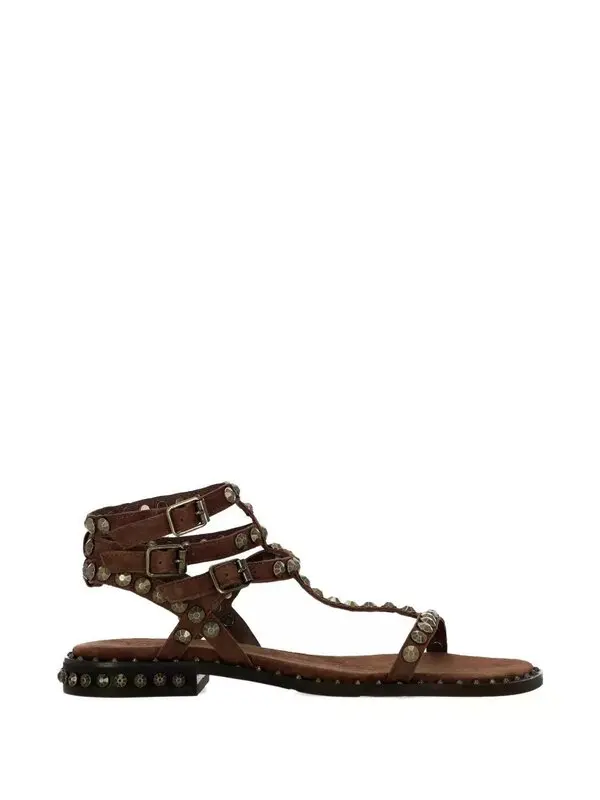 Ash Studded-strap Sandals - Brown