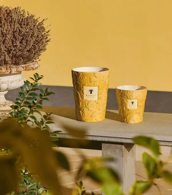 BAOBAB COLLECTION Dove Scented Candle
