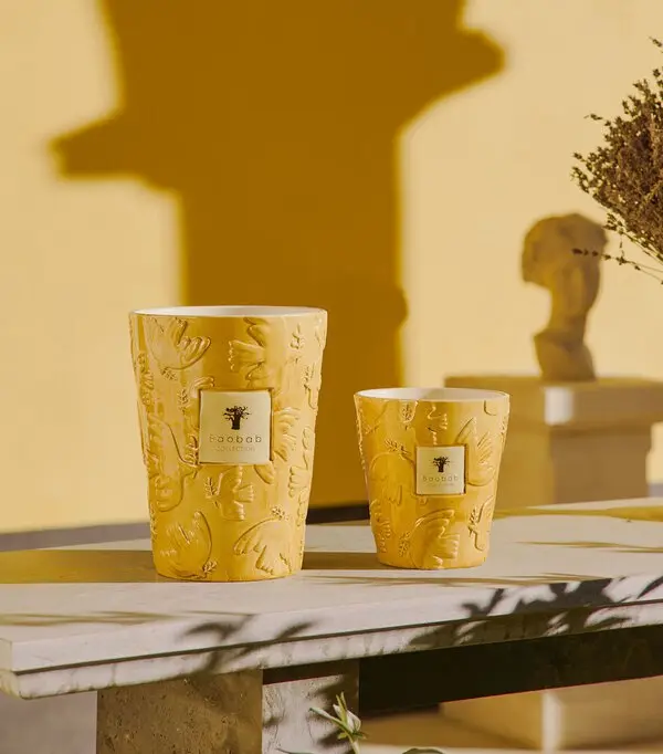 BAOBAB COLLECTION Dove Scented Candle