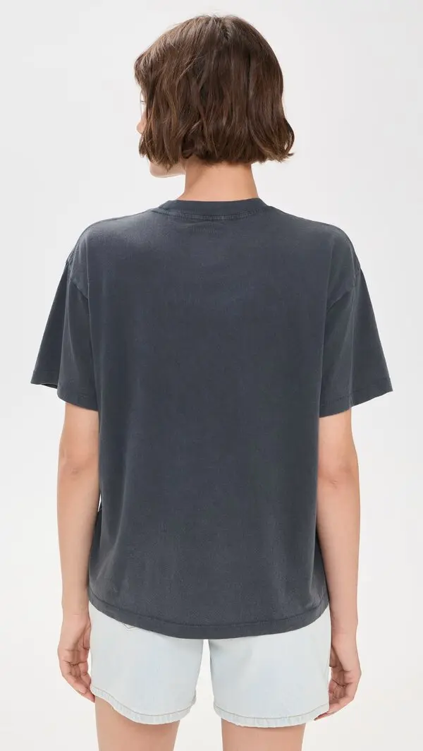 ANINE BING Cade Palms Tee - Washed Grey