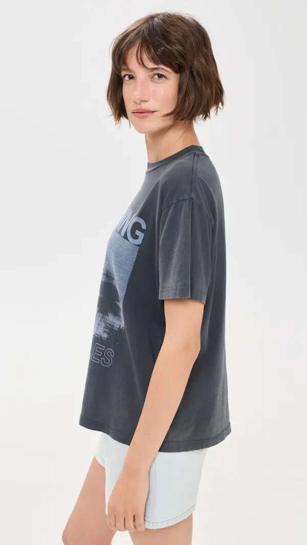 ANINE BING Cade Palms Tee - Washed Grey