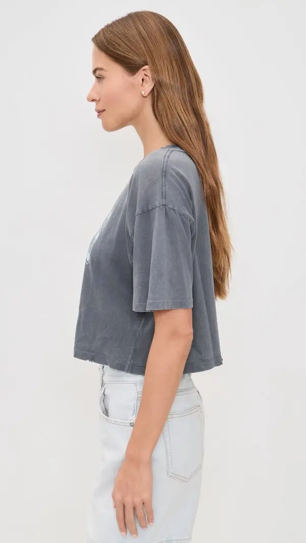 ANINE BING Johnny Cropped Tee - Washed Grey