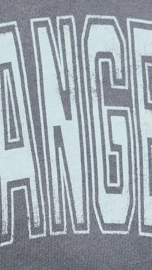 ANINE BING Johnny Cropped Tee - Washed Grey