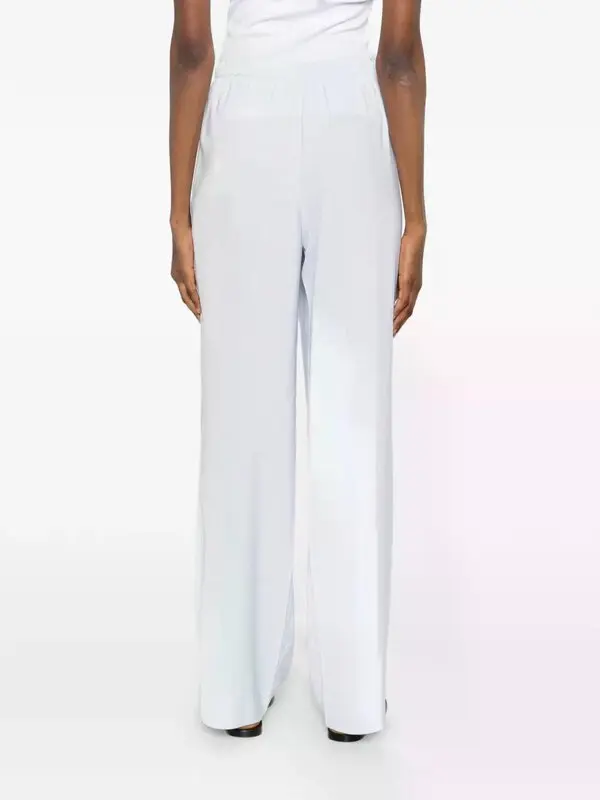 Hemisphere Pleated Wide-leg Trousers
