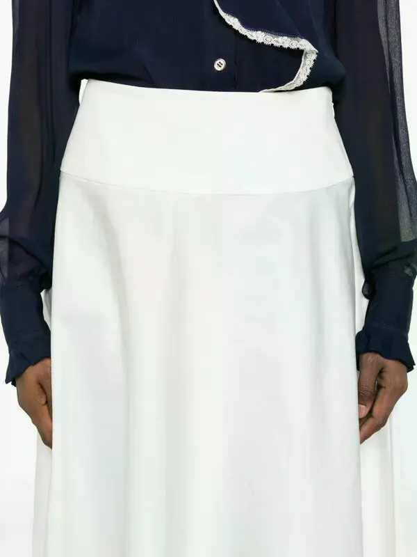 Hemisphere A-line Midi Skirt