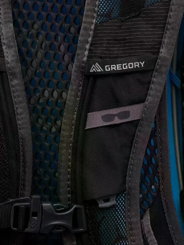 GREGORY Citro 24 Backpack