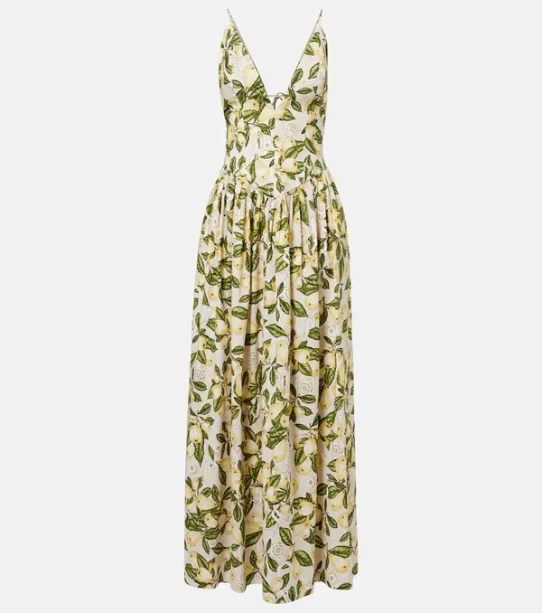 ADRIANA DEGREAS Printed Cotton-blend Maxi Dress - Beige