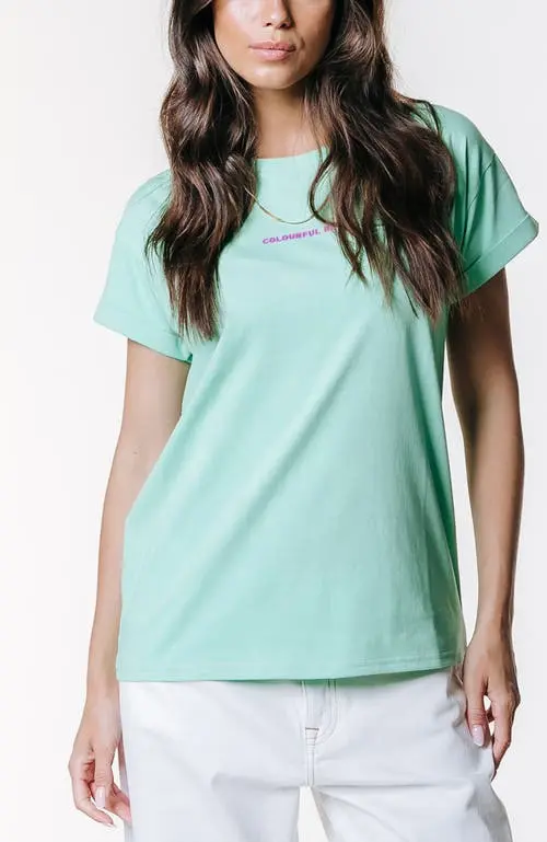 COLOURFUL REBEL Uni Logo Boxy Tee - Light Green