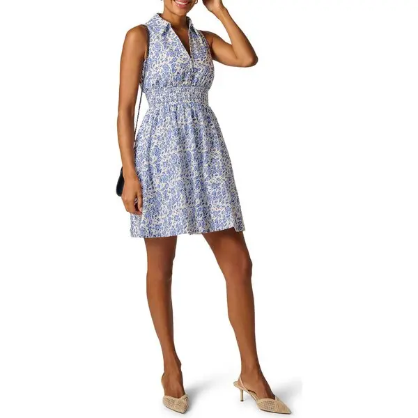 Adrianna Papell Floral Print Fit & Flare Dress - Ivory/blue Multi