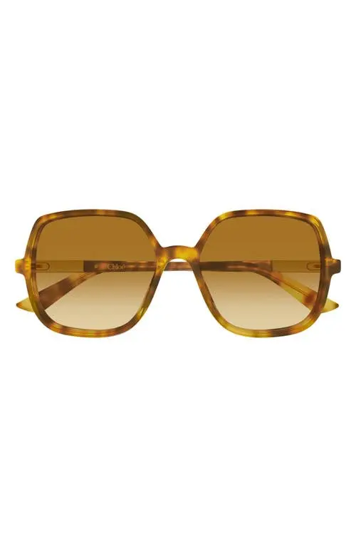 Chloé 55mm Gradient Geometric Sunglasses - Havana