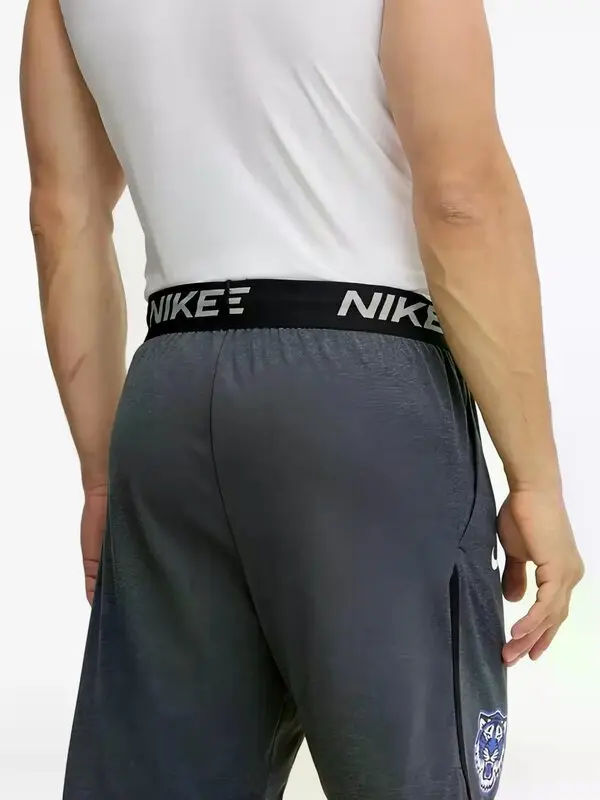 Nike Logo Shorts