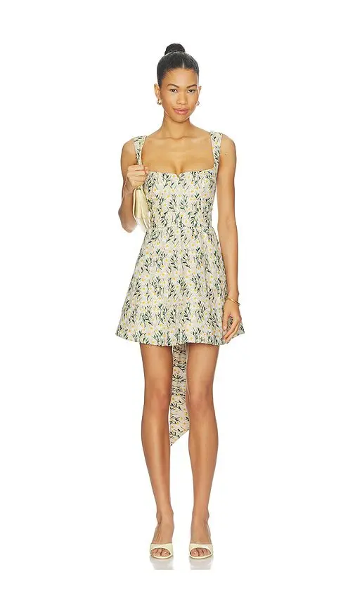 Clea Rue Mini Dress - Daisy Meadow