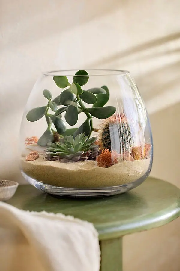 TERRAIN Polished Drop Terrarium, Small - Clear