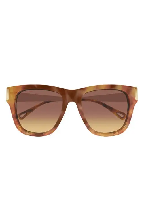 Chloé 53mm Cat Eye Sunglasses - Havana
