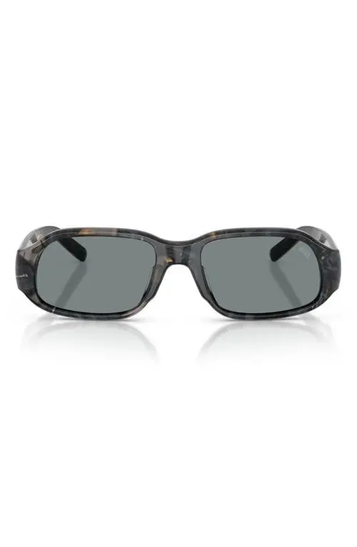 DIESEL® 55mm Oval Sunglasses - Brown/grey Havana/grey