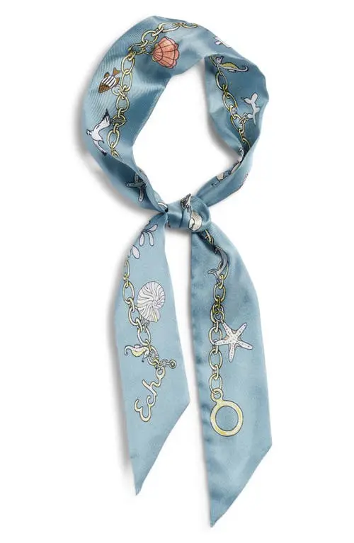 Echo Charmed Life Silk Ribbon Scarf - Blue Shadow