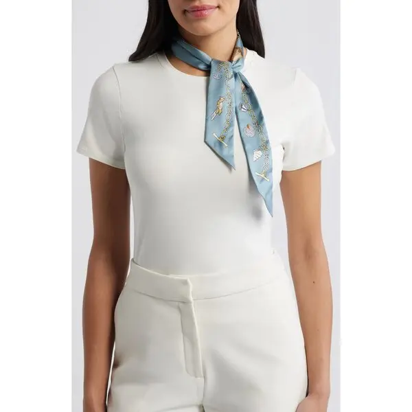 Echo Charmed Life Silk Ribbon Scarf - Blue Shadow