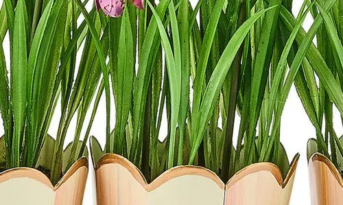 MACKENZIE-CHILDS Check Stripe Triple Potted Blooms