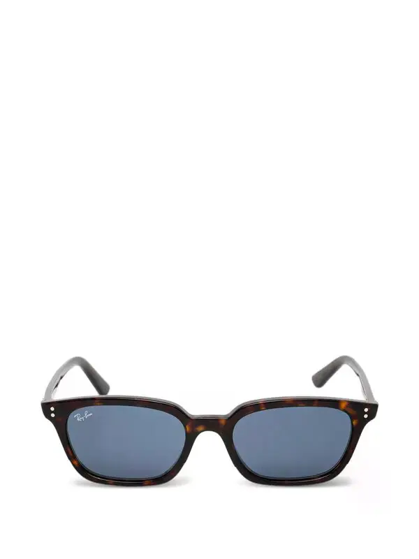 Ray-ban Tortoiseshell Sunglasses - Brown
