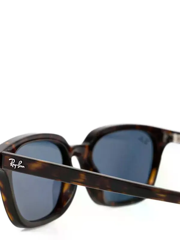 Ray-ban Tortoiseshell Sunglasses