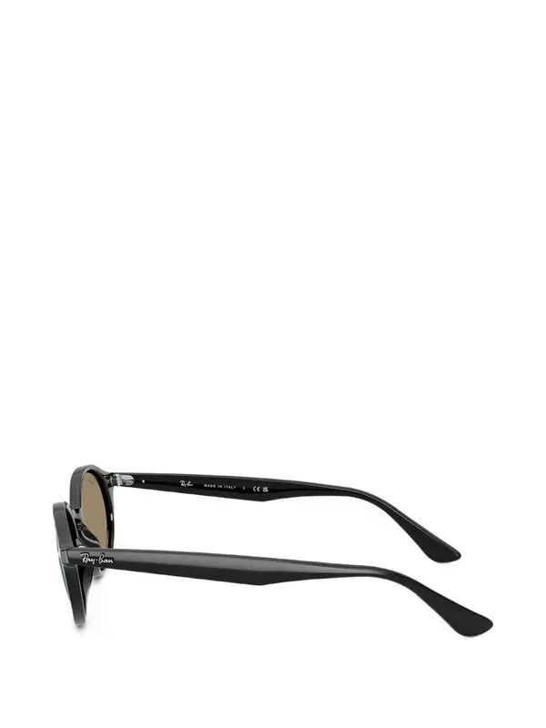 Ray-ban Round-frame Sunglasses