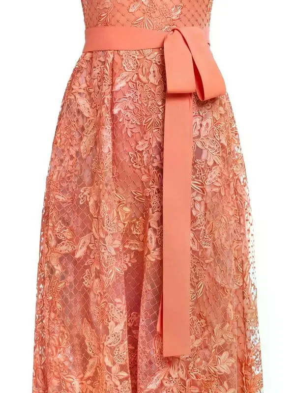 Elie Saab Lace-embroidered Tulle Dress
