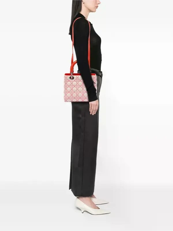 Dior 2012 Medium Lady Satchel - Orange