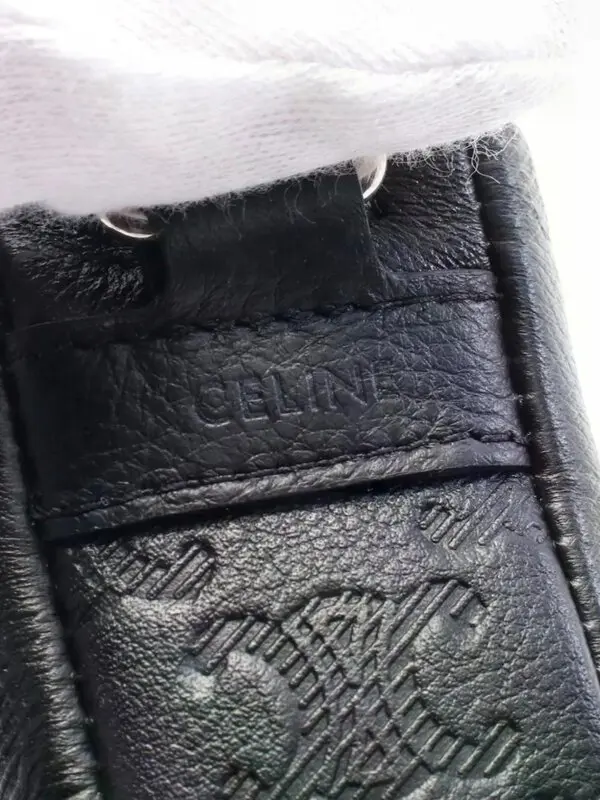 Celine 2010-2026 Mini Triomphe Camera Crossbody Bag