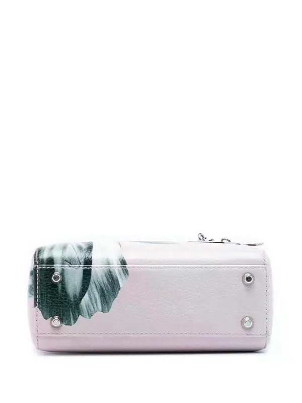 Dior Mini Floral Printed Lady Satchel - Pink
